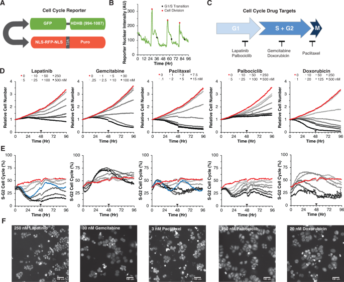 集智斑图 - 用知识连接探索者