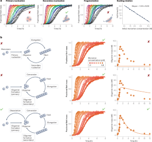 Amyloid formation as a protein phase transition | 集智斑图