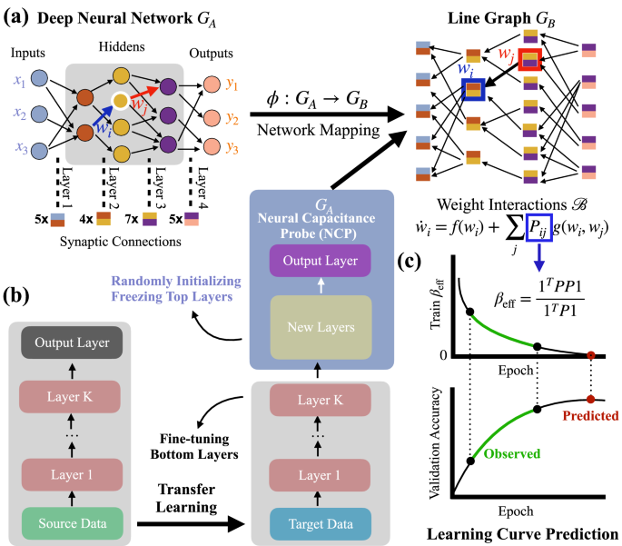 Network properties determine neural network performance | 集智斑图