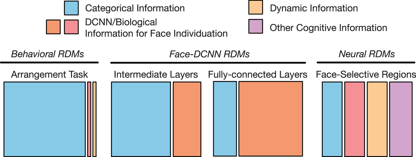 Modeling naturalistic face processing in humans with deep convolutional neural networks | 集智斑图