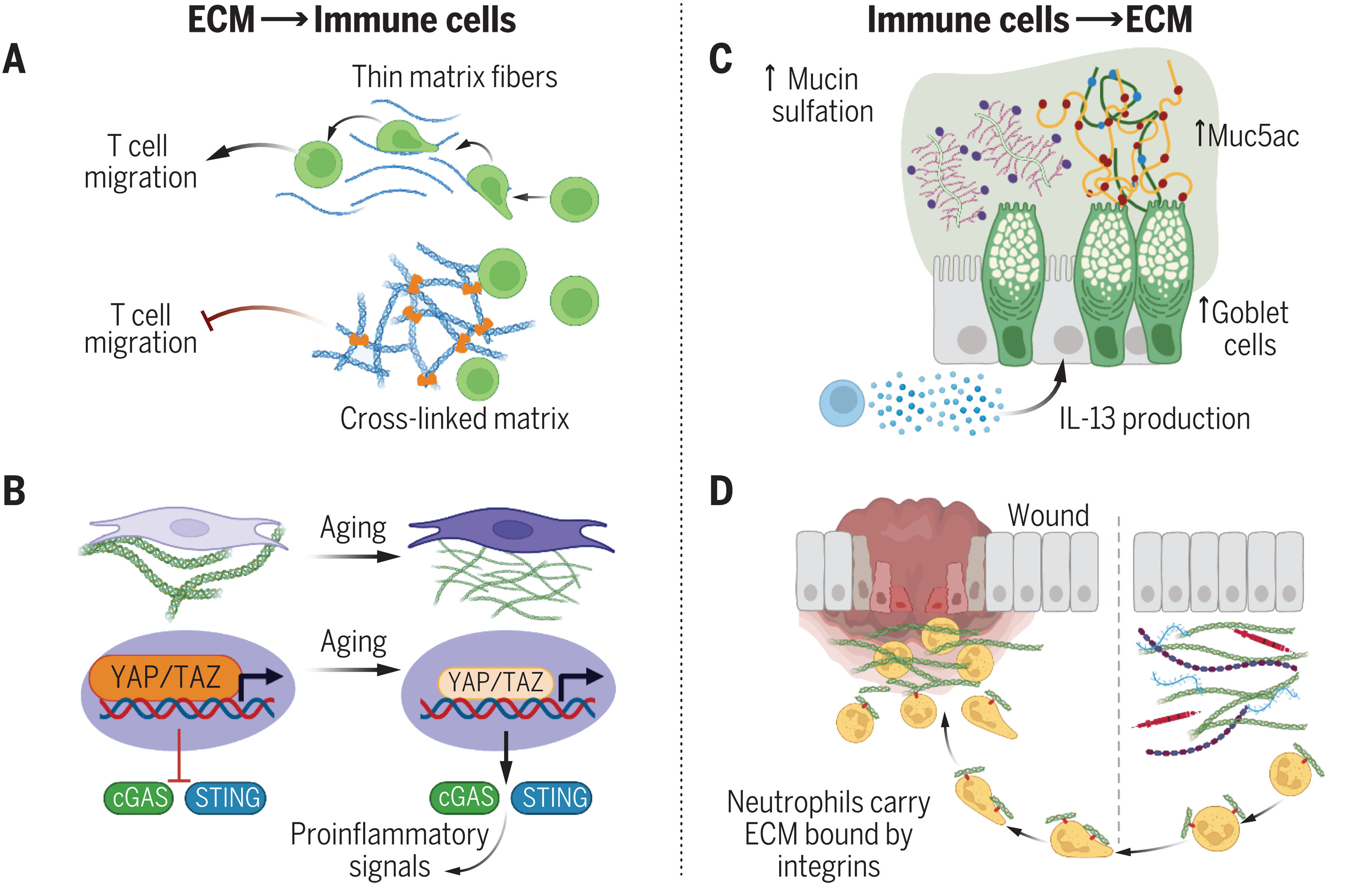 集智斑图 - 用知识连接探索者