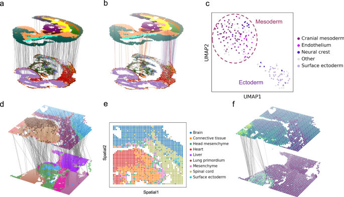 集智斑图 - 用知识连接探索者