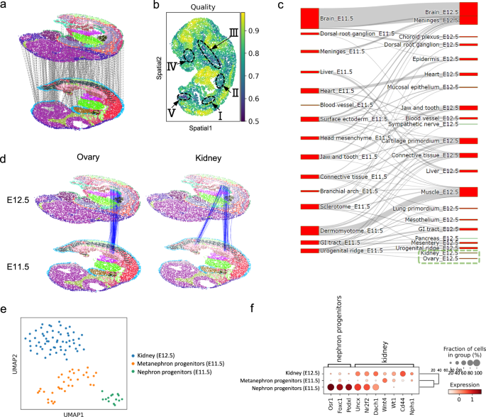 集智斑图 - 用知识连接探索者