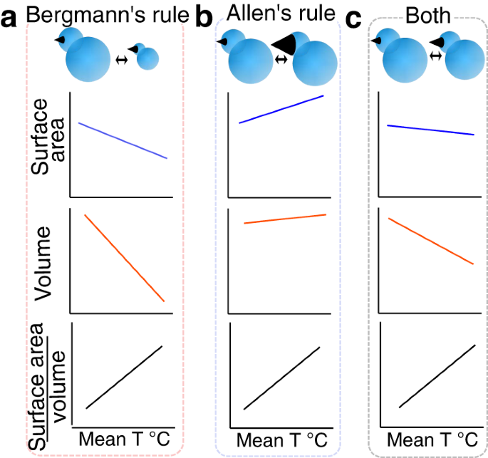 集智斑图 - 用知识连接探索者