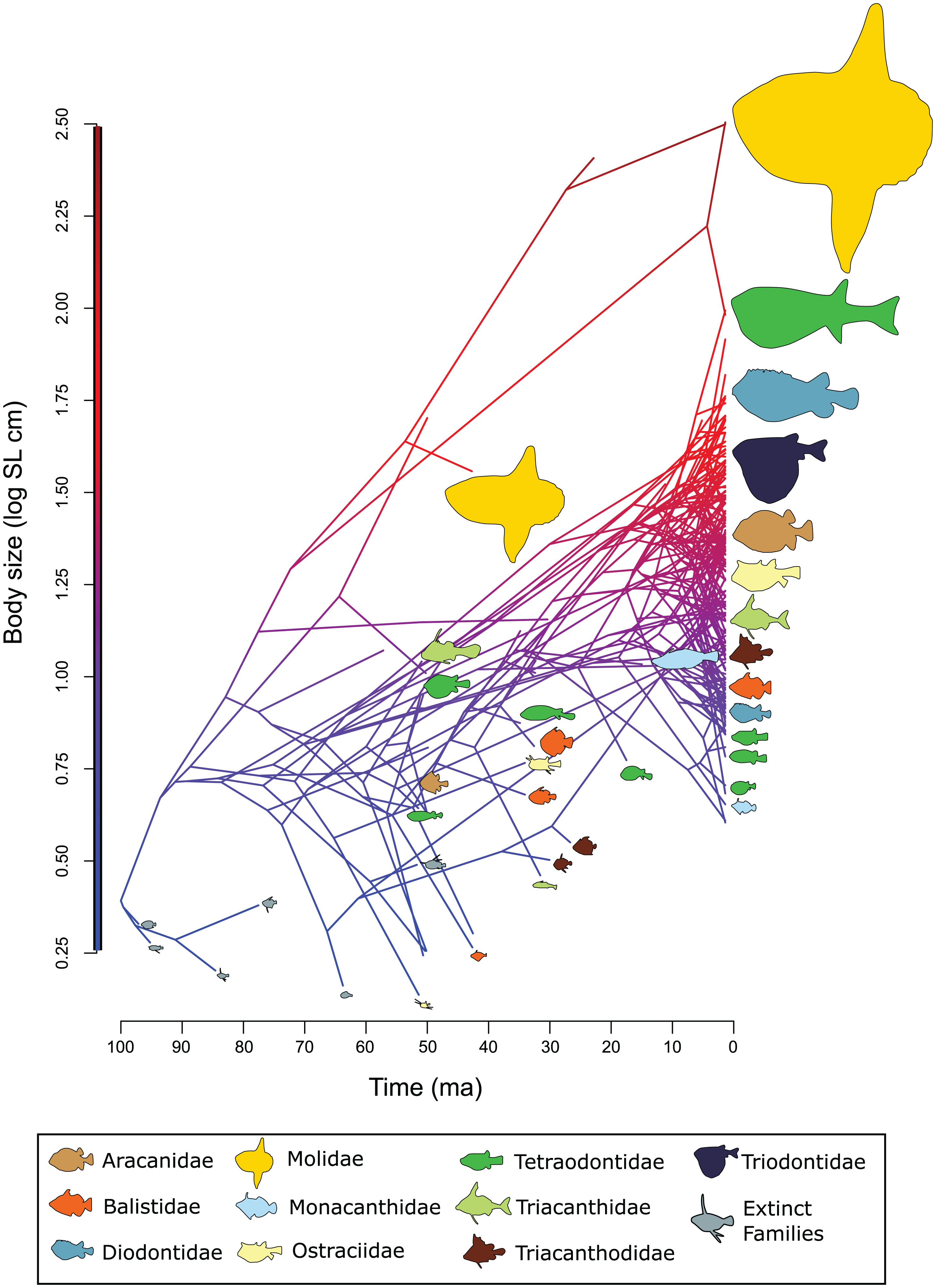 集智斑图 - 用知识连接探索者