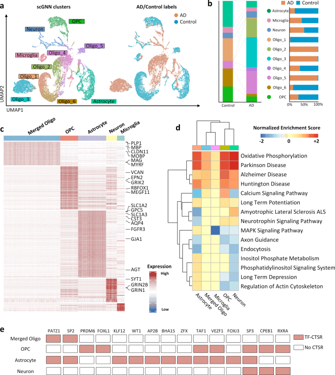 scGNN is a novel graph neural network framework for single-cell RNA-Seq ...