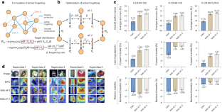 Incorporating neuro-inspired adaptability for continual learning in ...