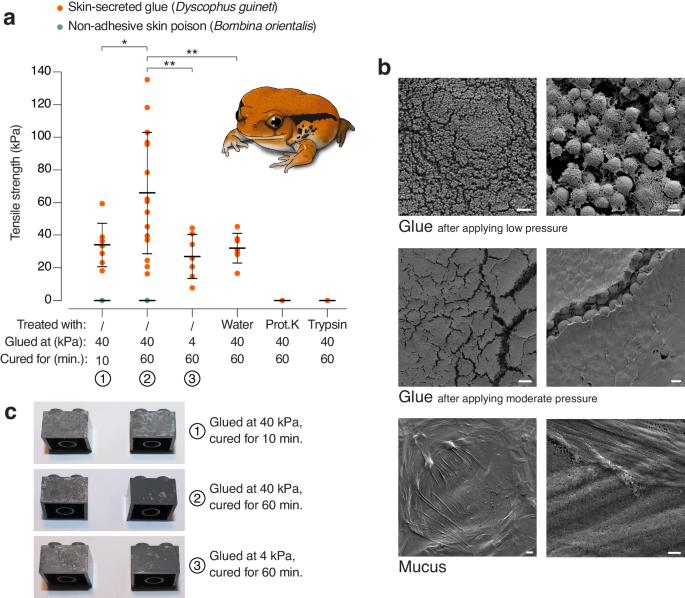 集智斑图 - 用知识连接探索者