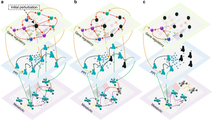 Robustness and lethality in multilayer biological molecular networks | 集智斑图