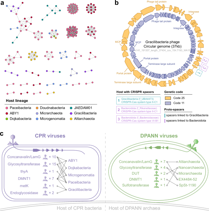 Unveiling the unknown viral world in groundwater | 集智斑图