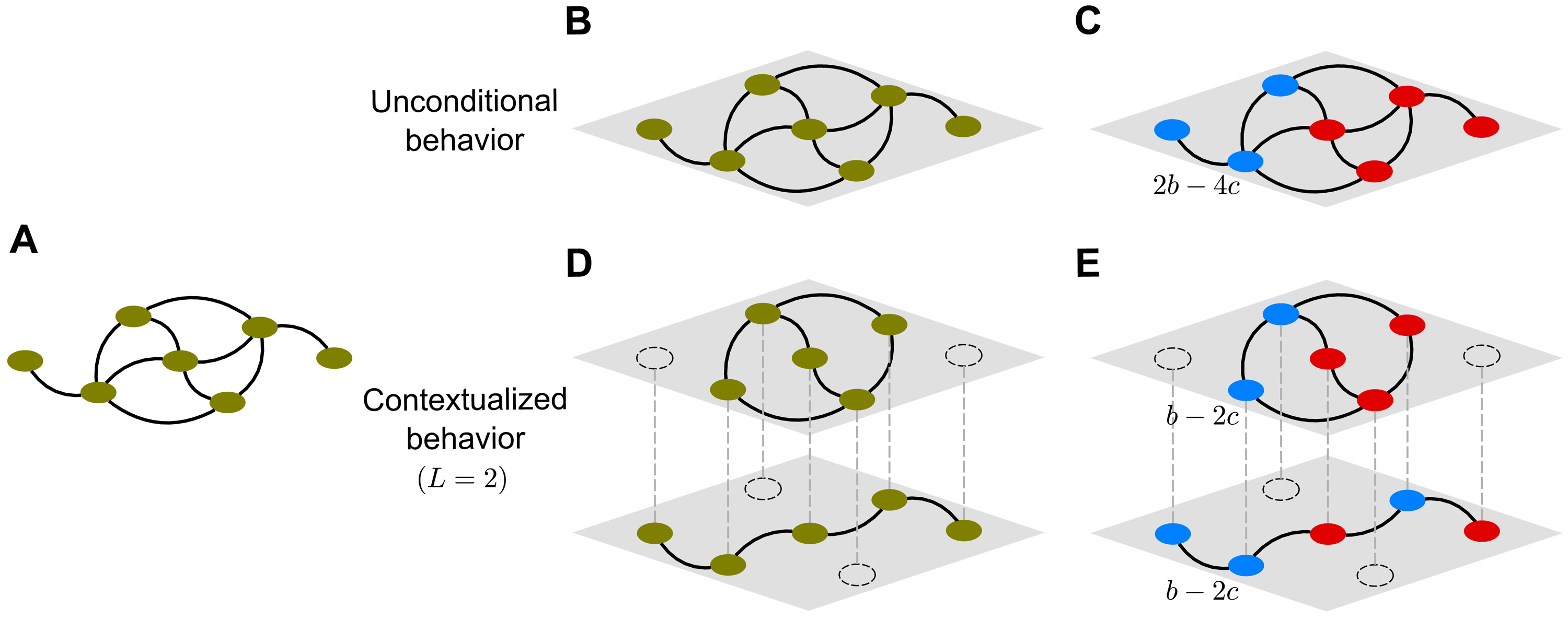 Evolution of cooperation with contextualized behavior | 集智斑图