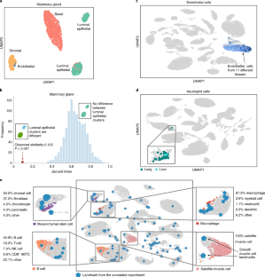集智斑图 - 用知识连接探索者