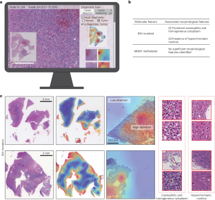 集智斑图 - 用知识连接探索者
