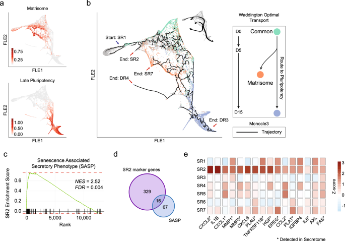 集智斑图 - 用知识连接探索者