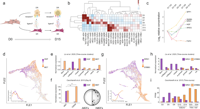 集智斑图 - 用知识连接探索者