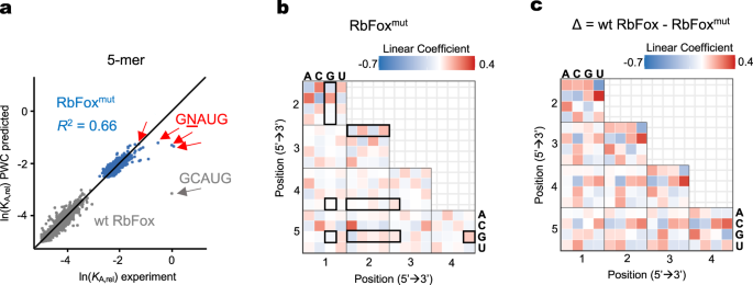 集智斑图 - 用知识连接探索者