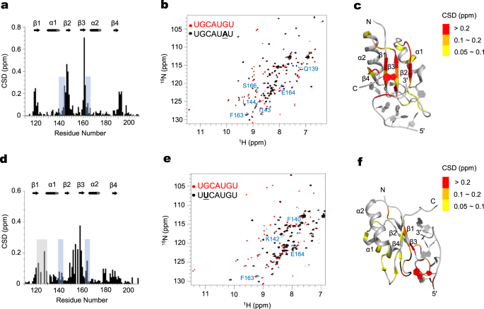 集智斑图 - 用知识连接探索者