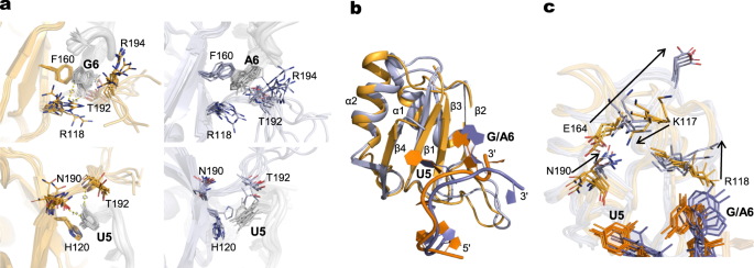 集智斑图 - 用知识连接探索者