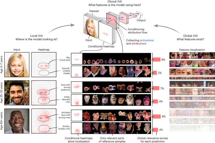 From attribution maps to human-understandable explanations through ...