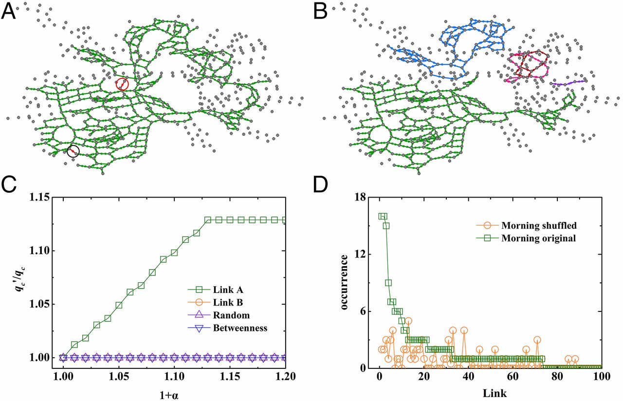 集智斑图 - 用知识连接探索者