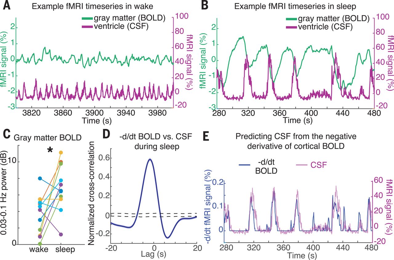 集智斑图 - 用知识连接探索者