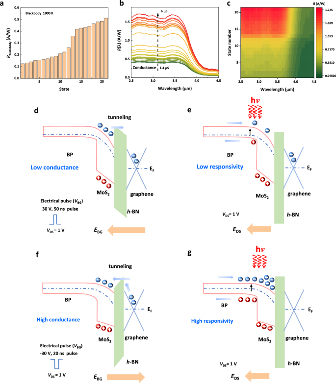 Non-volatile 2D MoS2/black phosphorus heterojunction photodiodes in the ...