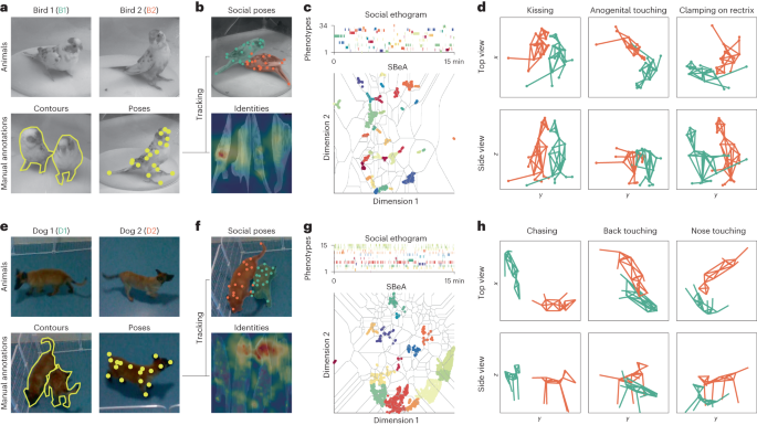 集智斑图 - 用知识连接探索者