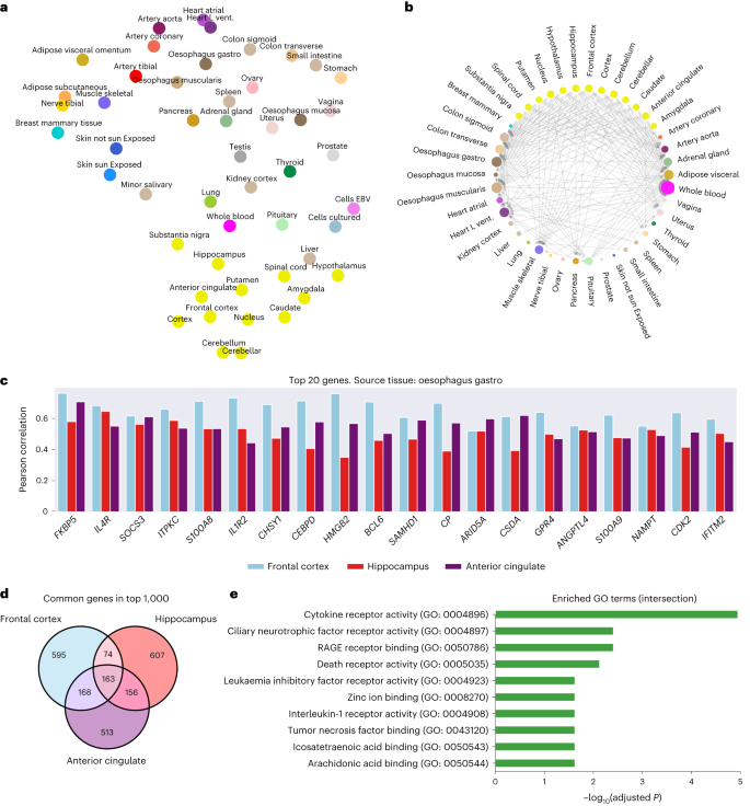 集智斑图 - 用知识连接探索者