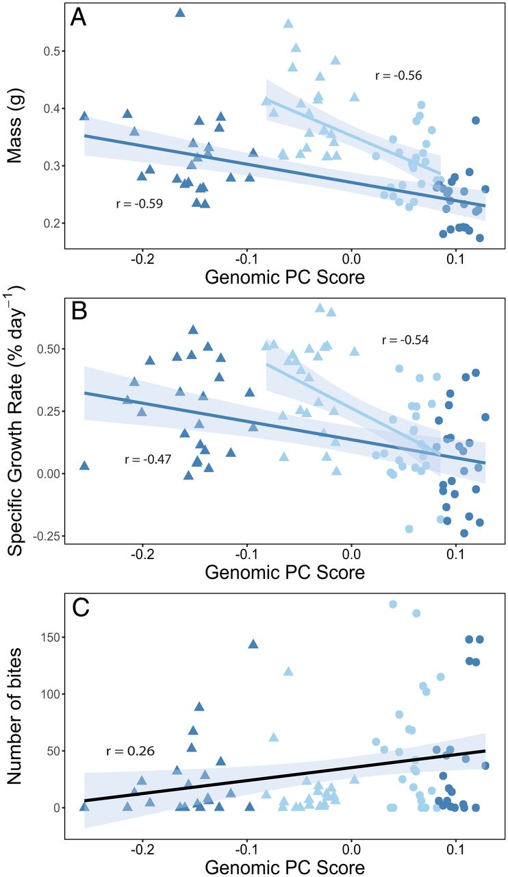集智斑图 - 用知识连接探索者