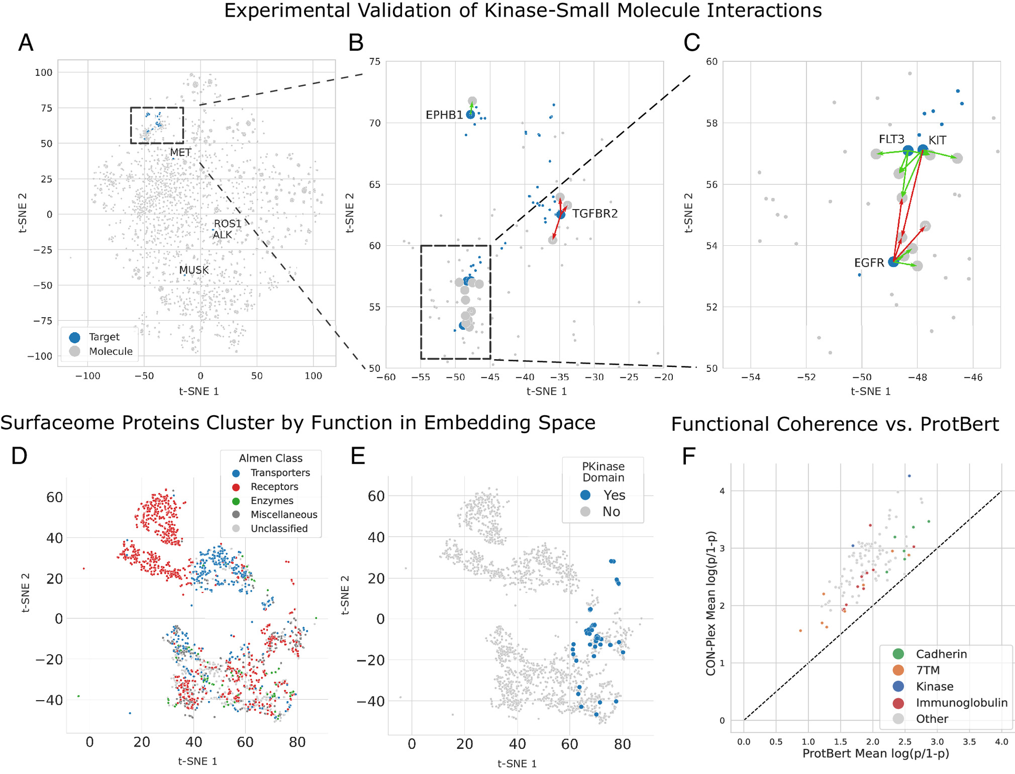 集智斑图 - 用知识连接探索者