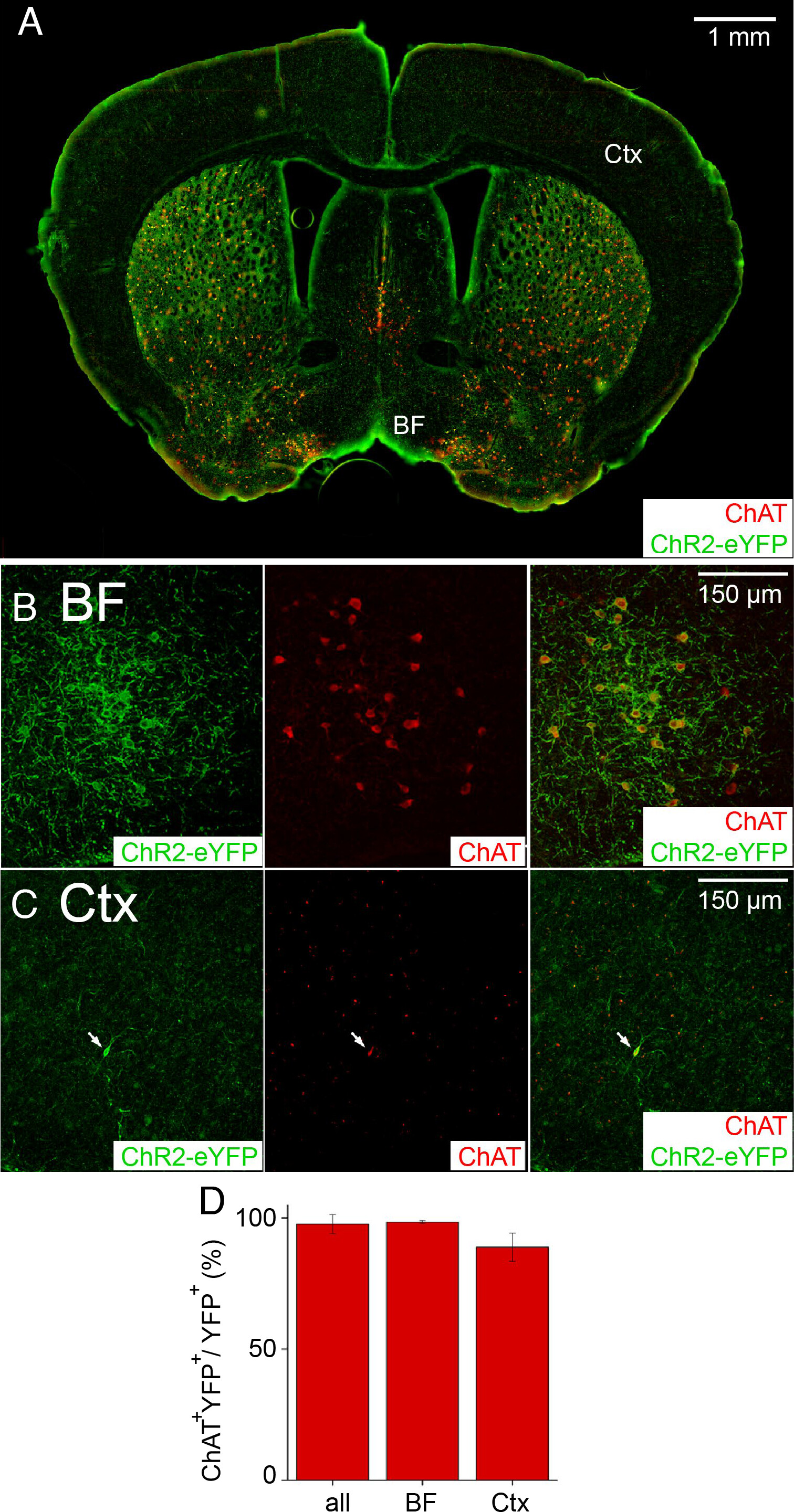 集智斑图 - 用知识连接探索者