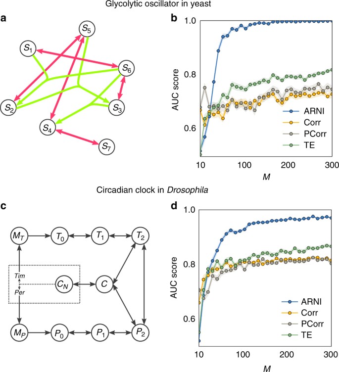 Model-free inference of direct network interactions from nonlinear collective dynamics | 集智斑图