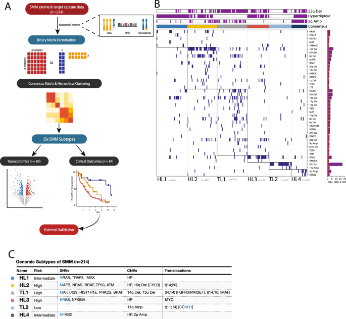 Genetic subtypes of smoldering multiple myeloma are associated with ...