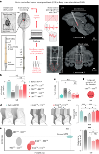 集智斑图 - 用知识连接探索者