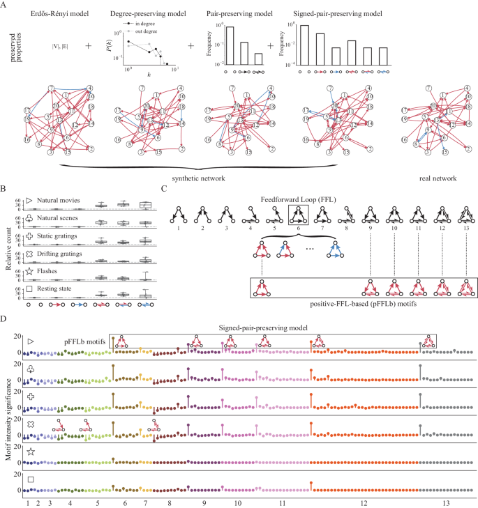 Stimulus type shapes the topology of cellular functional networks in ...