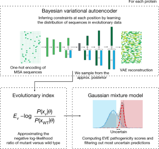 Disease variant prediction with deep generative models of evolutionary data | 集智斑图