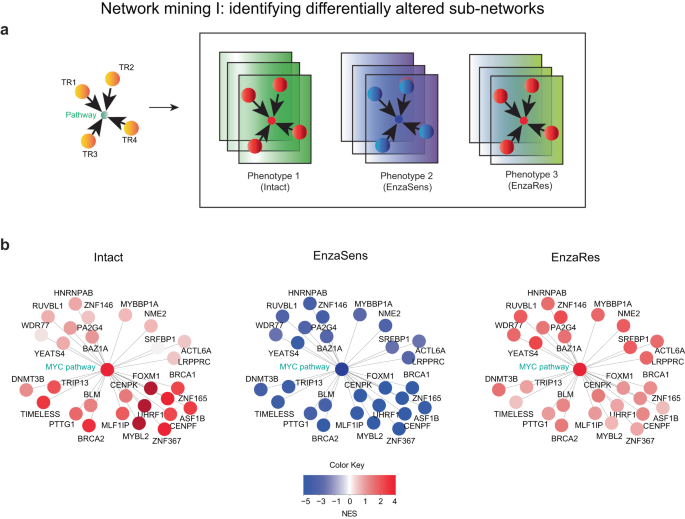 集智斑图 - 用知识连接探索者