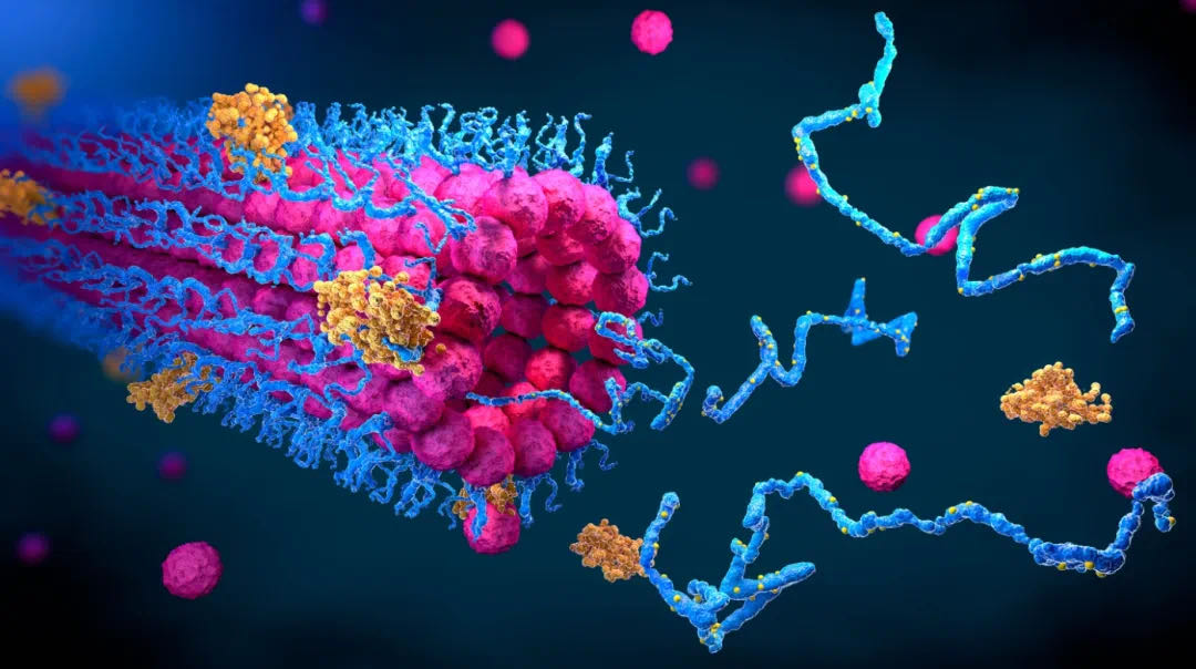 集智斑图 - 用知识连接探索者