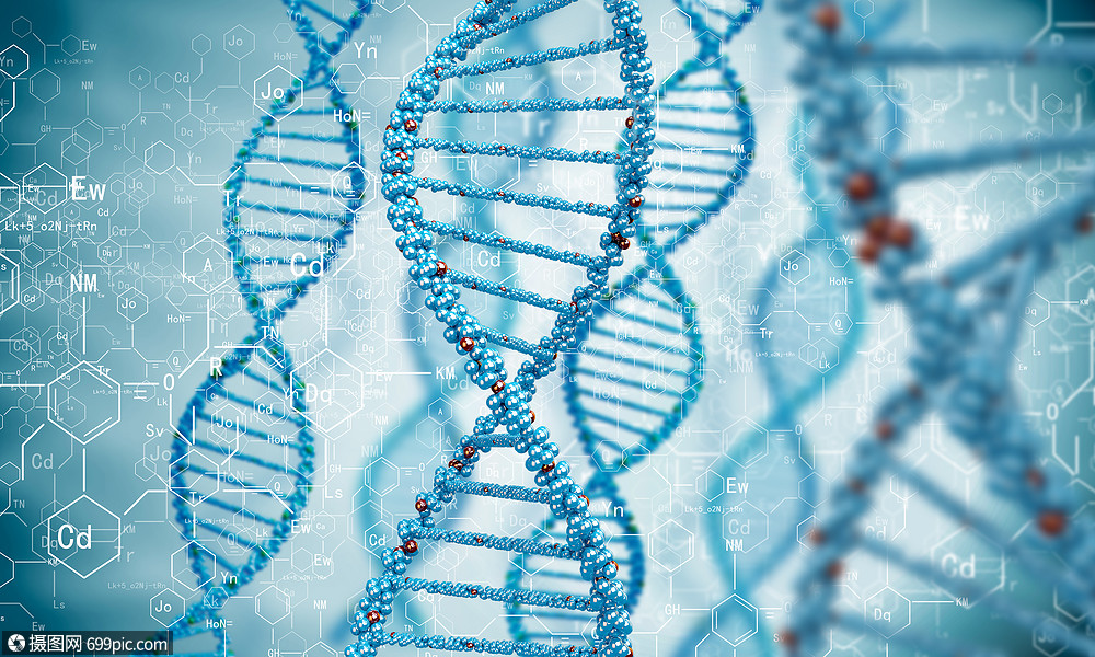 集智斑图 - 用知识连接探索者