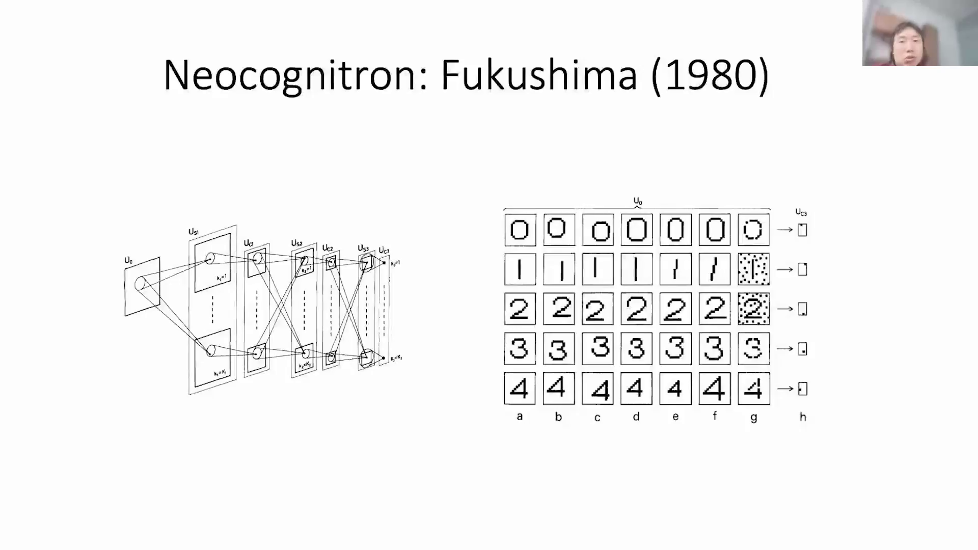 「殊途同归： 生物视觉与人工视觉」核心术语与资源汇总 | 集智斑图