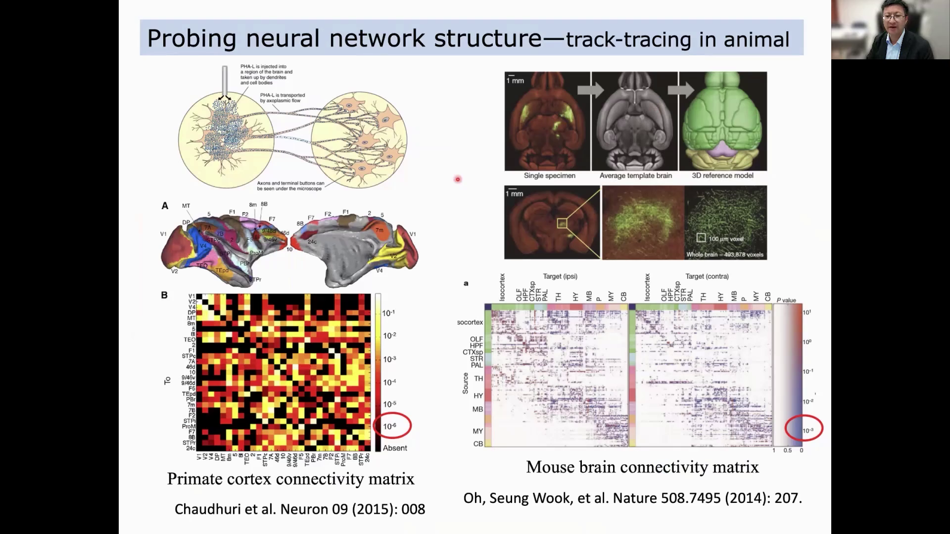 「神经科学与机器学习交叉路线图」核心术语与资源汇总 | 集智斑图