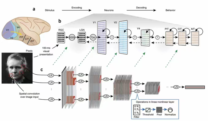 集智斑图 - 用知识连接探索者