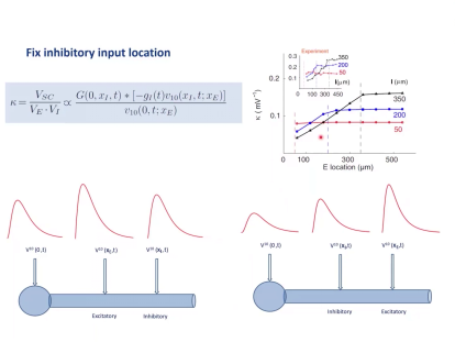 神经元树突计算的理论与模型 | 集智斑图