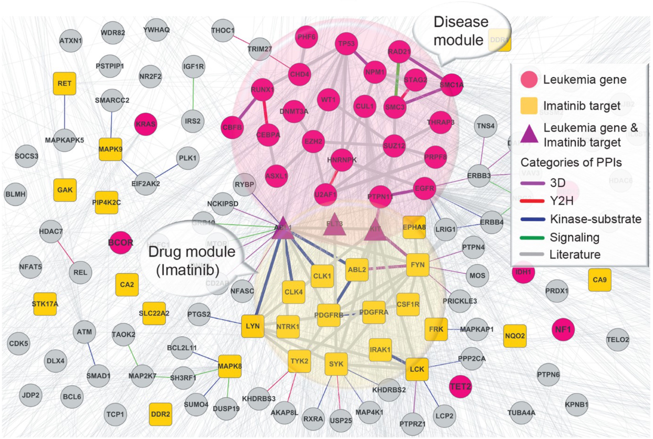 集智斑图 - 用知识连接探索者