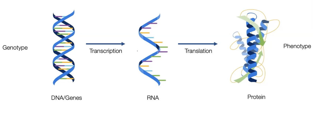 集智斑图 - 用知识连接探索者