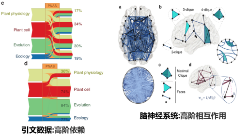 集智斑图 - 用知识连接探索者